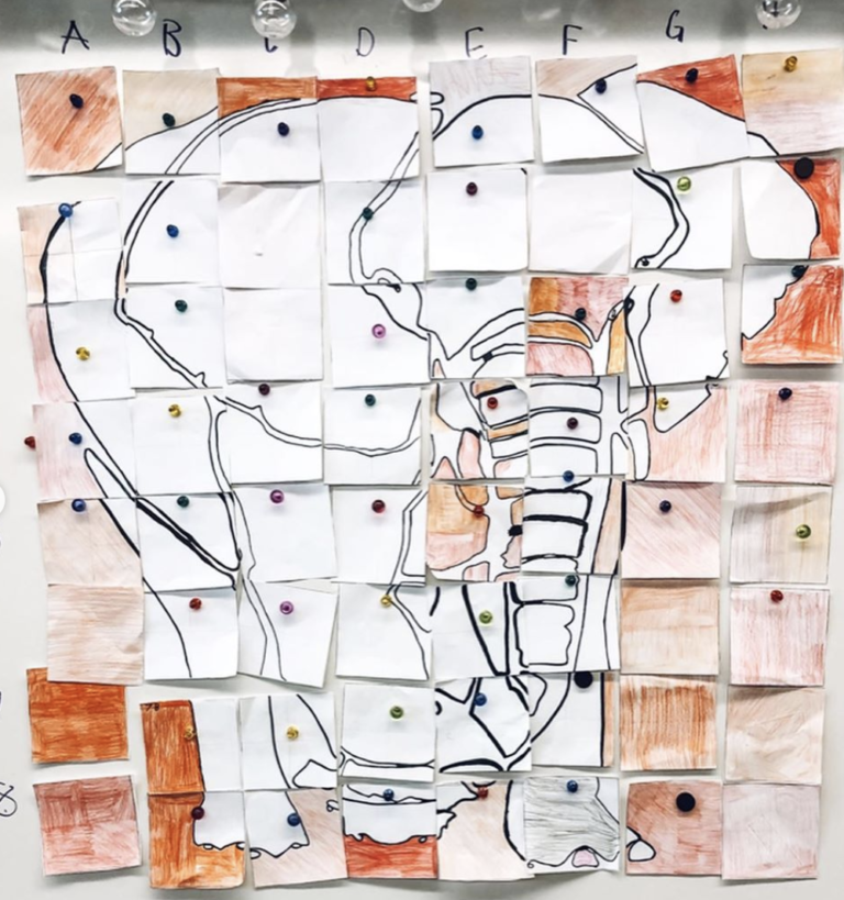 Free Grit & Growth Mindset Challenge: The Nitty Gritty Bewilderer