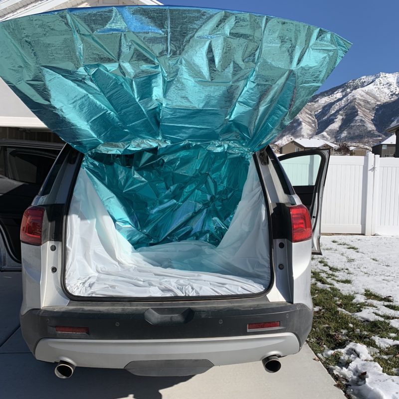 Frozen Themed Trunk or Treat